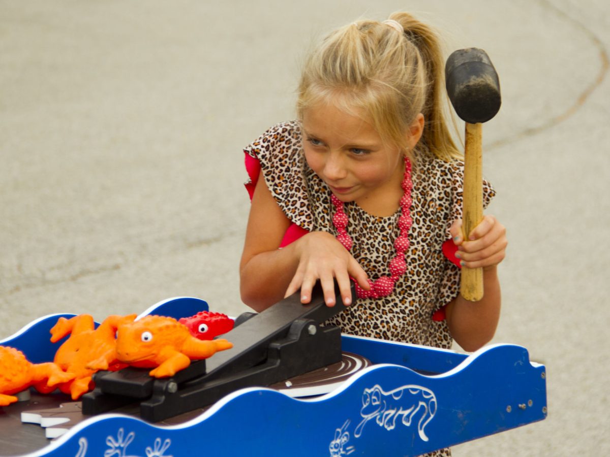 Peters Township’s Bower Hill Elementary marks 20 years - The Almanac